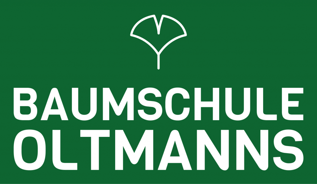 Jimdo Logo Creater - erstellen Sie sich kostenlos ein professionelles ...